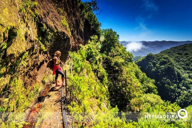 Foto do dia - Portal NetMadeira - Madeira Nature Festival