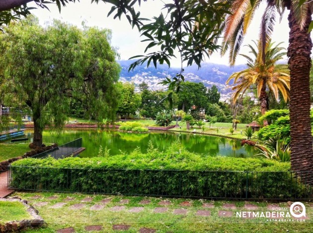 Foto do dia - Portal NetMadeira - Parque Santa Catarina Funchal