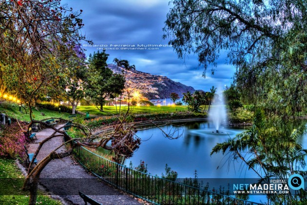 Foto do dia - Portal NetMadeira - Visitar o Parque Santa Catarina